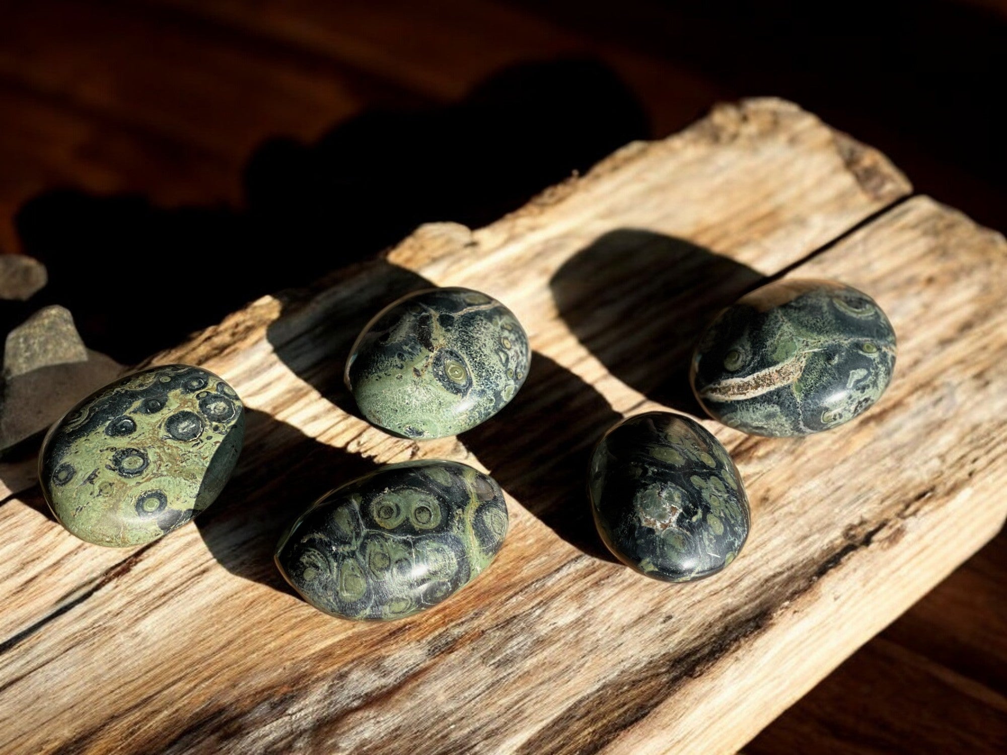 Kambaba Jasper Palm Stones | Calming Green Crystals for Balance